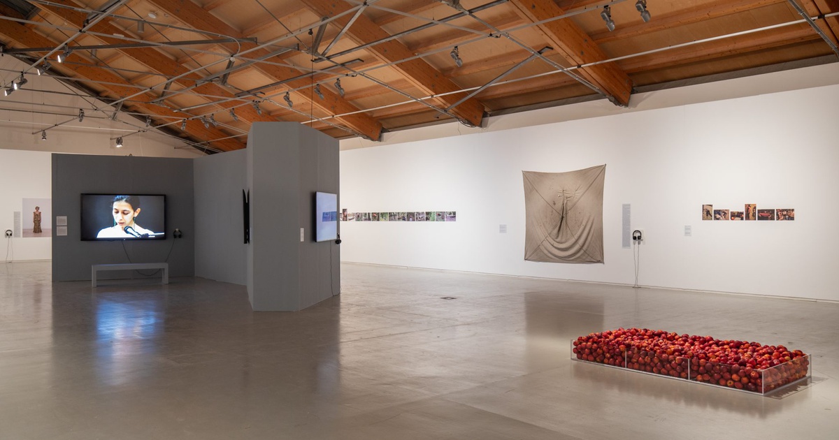 Regina José Galindo: let's decolonise the world | ADN Galeria